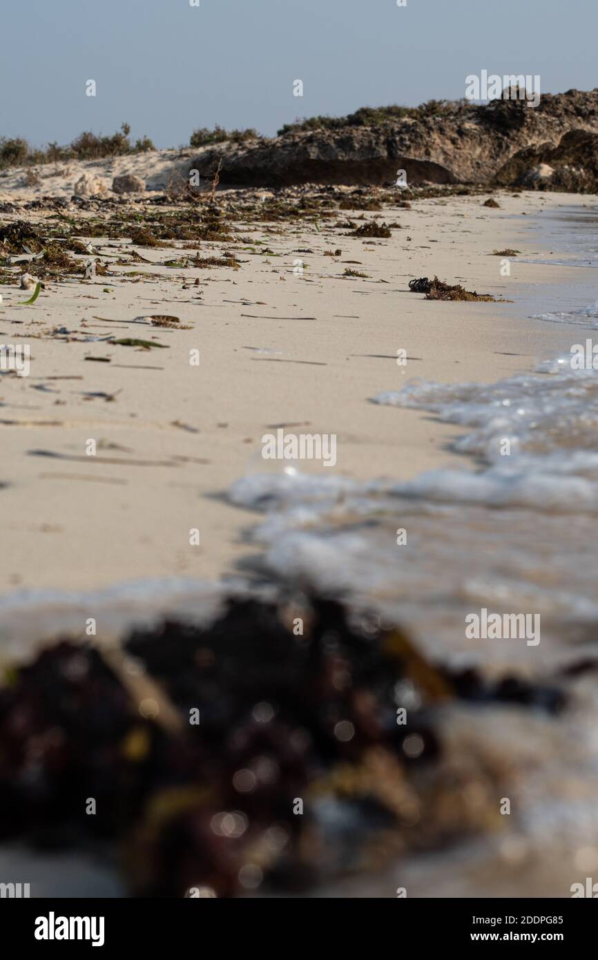 Nature & Landscapes Stock Photo - Alamy