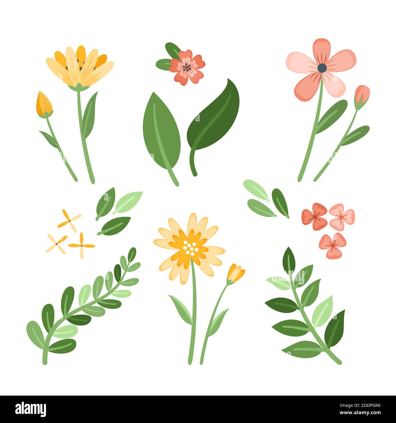 Various flowers with leaves flat design collection Vector illustration ...