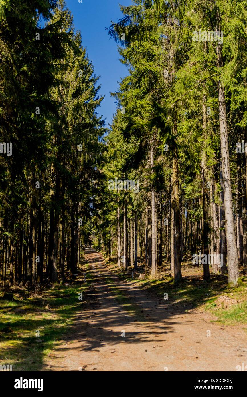 Hiking in different places through the Thuringian Forest - Thüringer ...