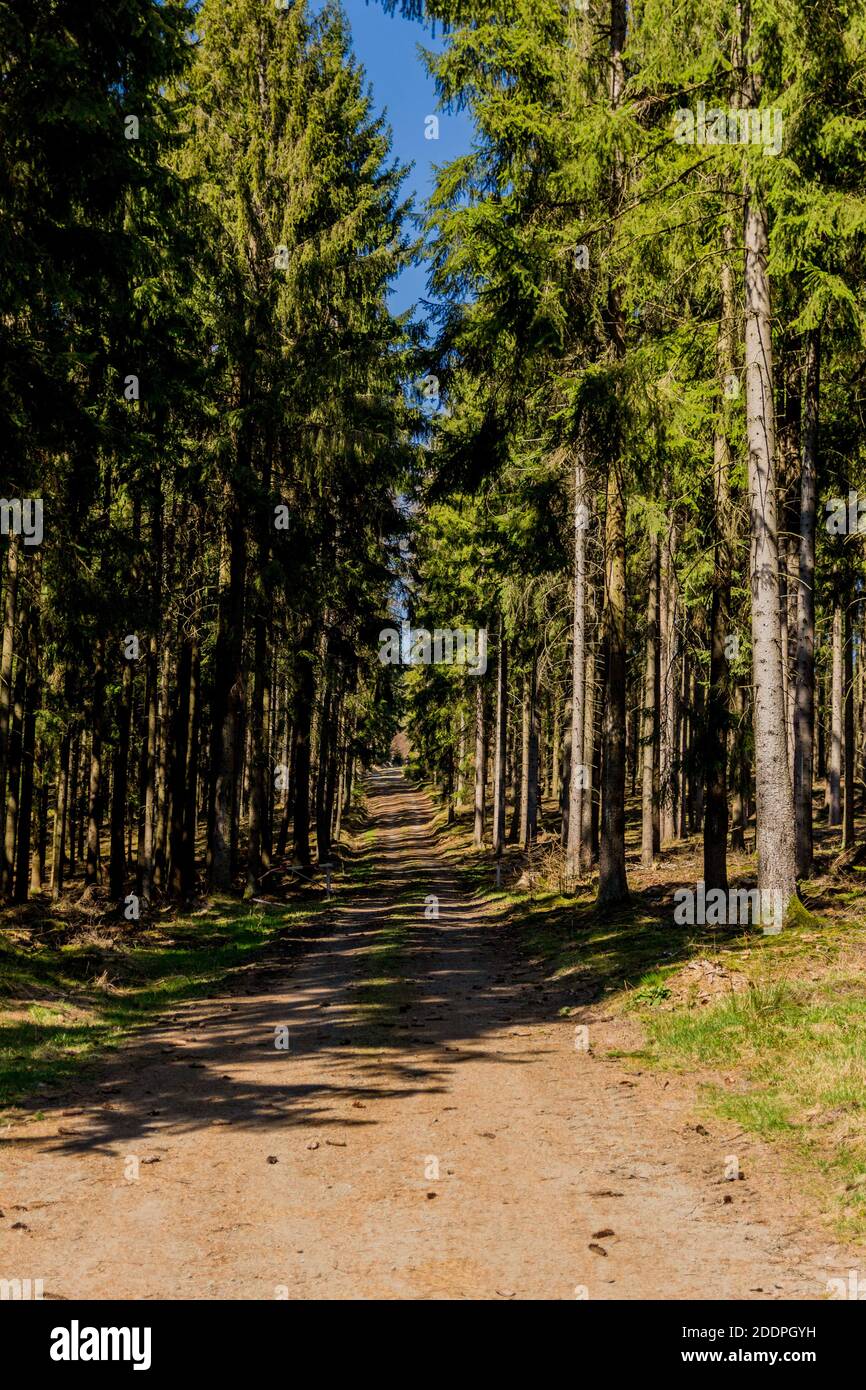 Hiking in different places through the Thuringian Forest - Thüringer ...