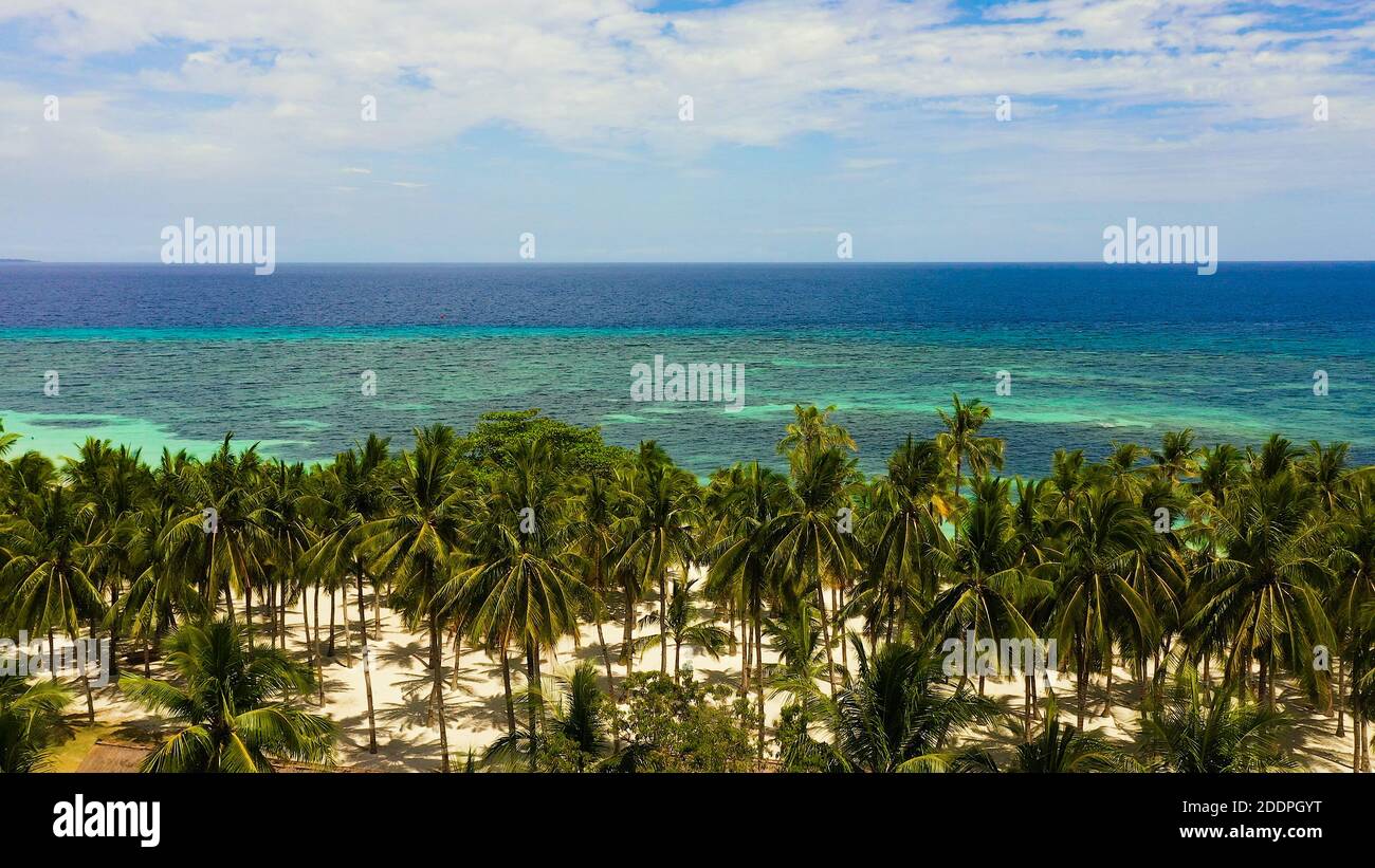 Beautiful tropical beach with white sand, palm trees, turquoise ocean ...