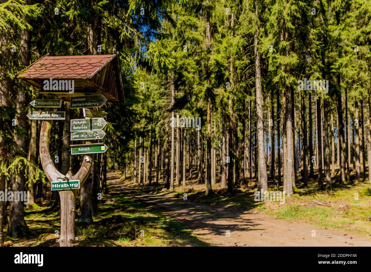 Hiking in different places through the Thuringian Forest - Thüringer ...