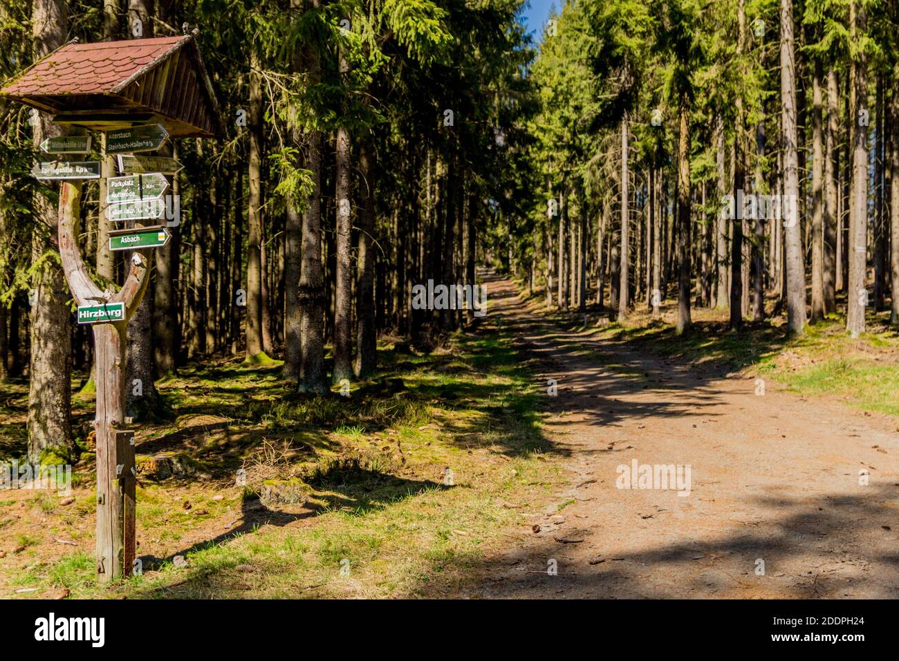 Hiking in different places through the Thuringian Forest - Thüringer ...