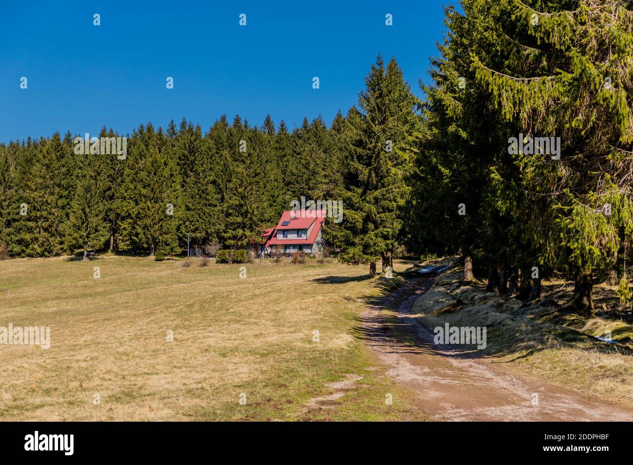 Hiking in different places through the Thuringian Forest - Thüringer ...