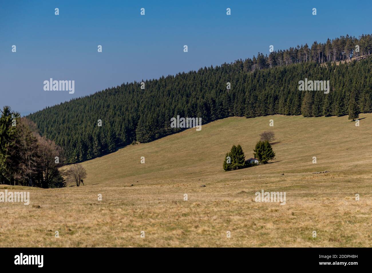 Hiking in different places through the Thuringian Forest - Thüringer ...