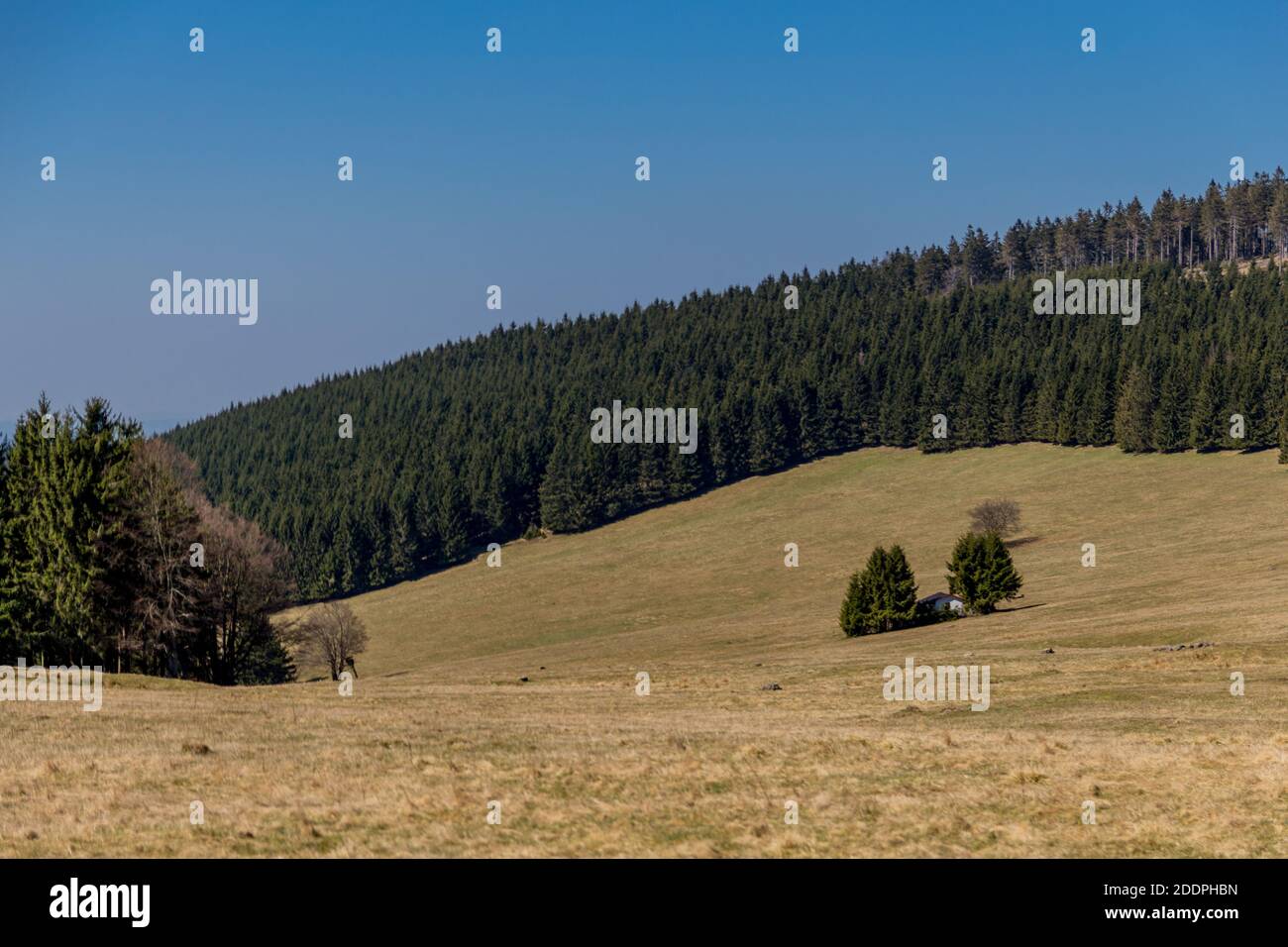 Hiking in different places through the Thuringian Forest - Thüringer ...