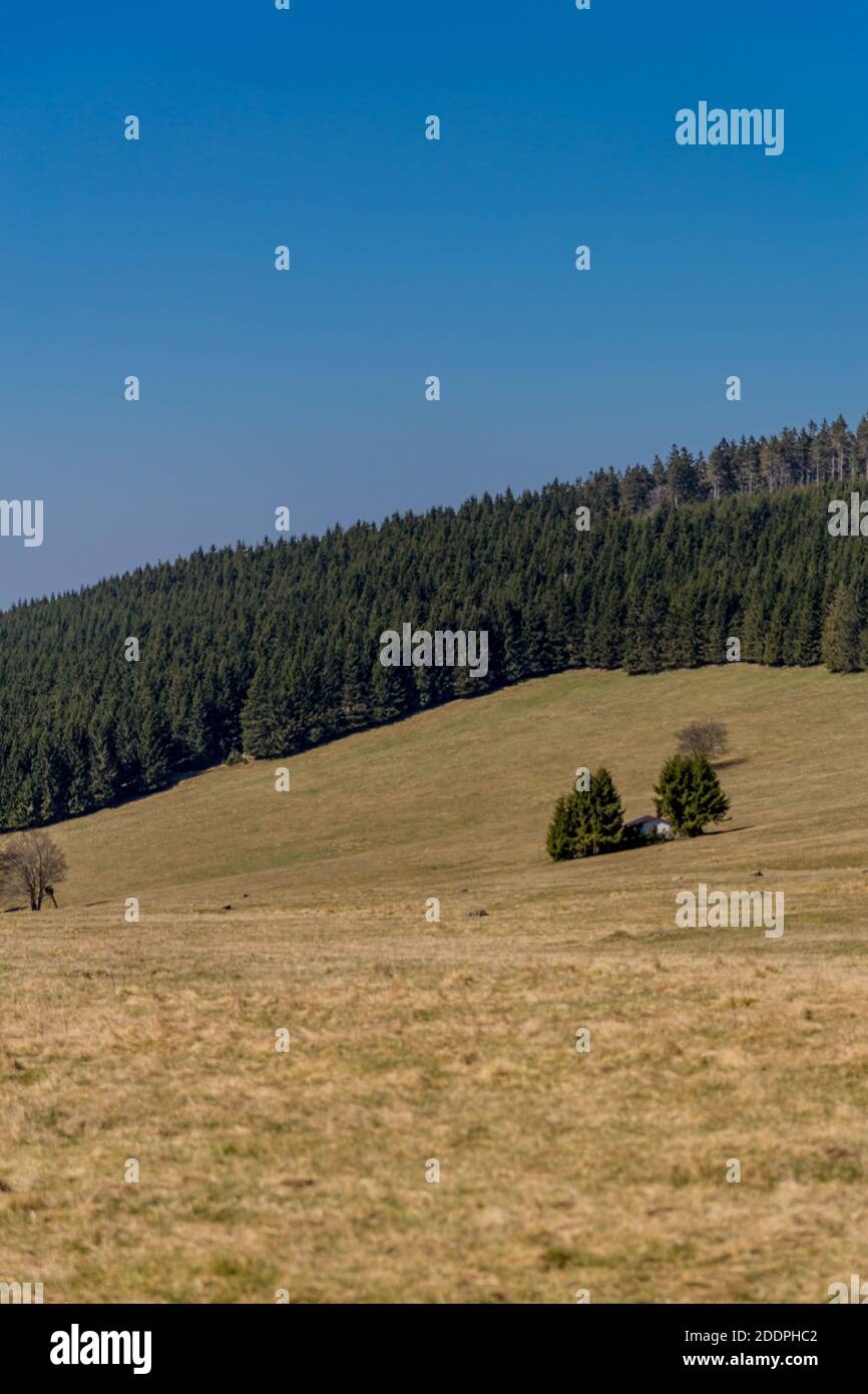 Hiking in different places through the Thuringian Forest - Thüringer ...