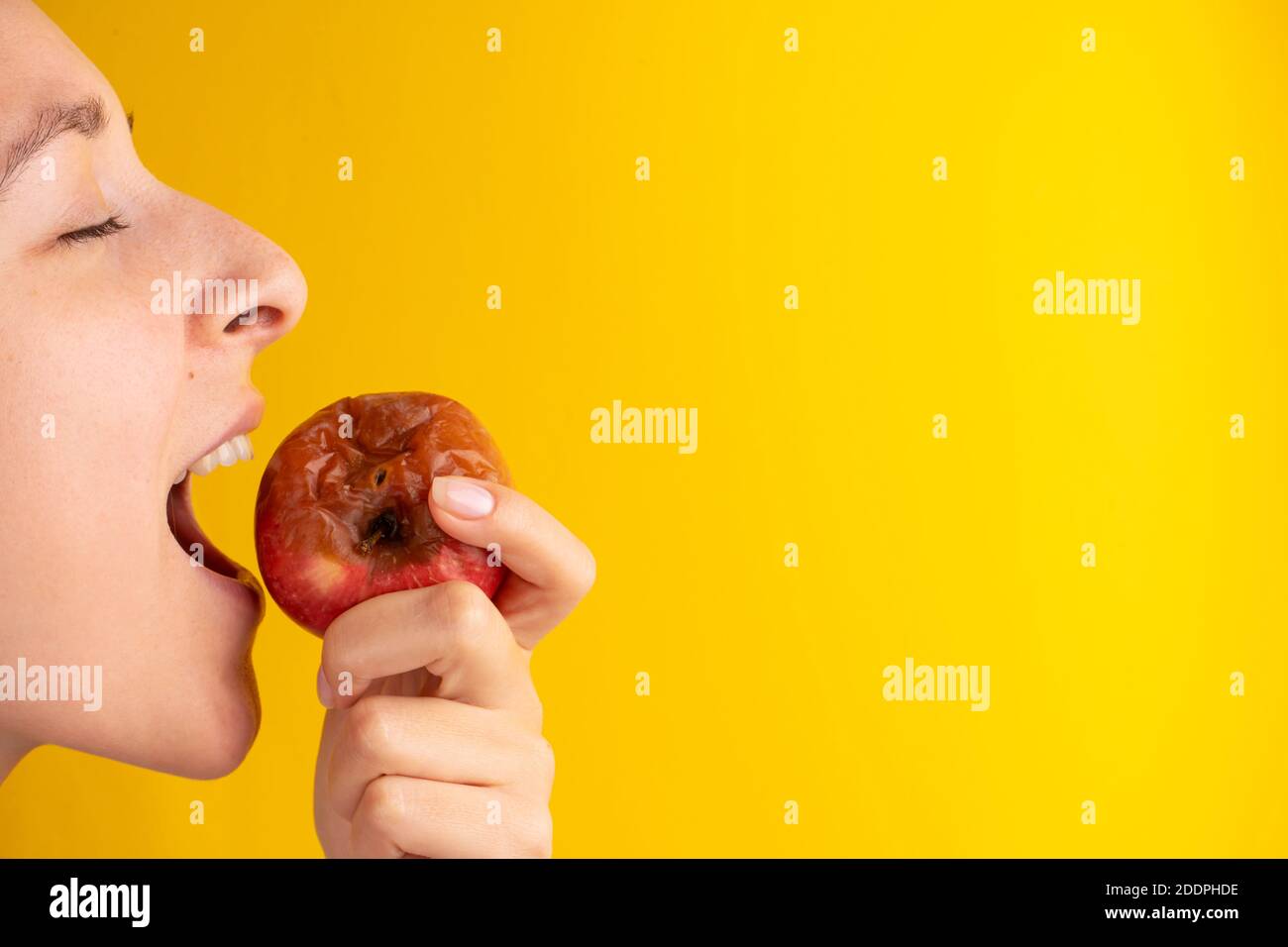 The girl bites a rotten apple with a worm on a yellow background ...