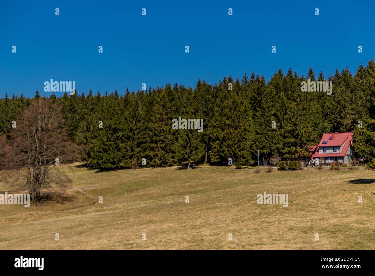 Hiking in different places through the Thuringian Forest - Thüringer ...