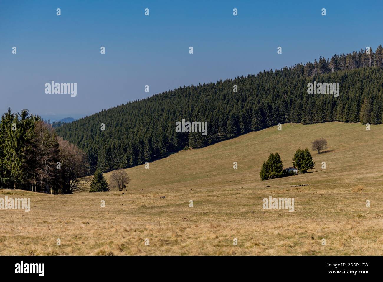 Hiking in different places through the Thuringian Forest - Thüringer ...