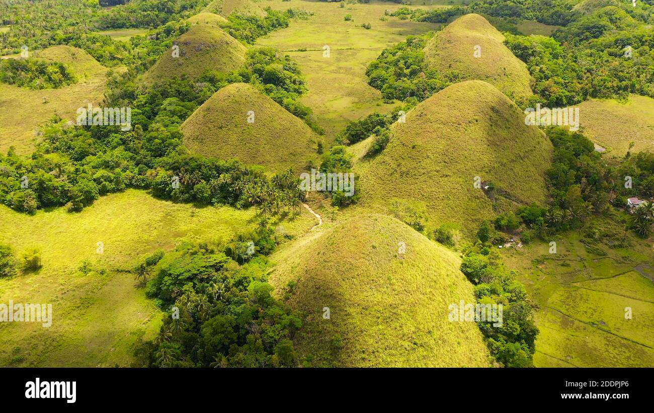 Chocolate Hills - one of the main attractions of the island of Bohol ...