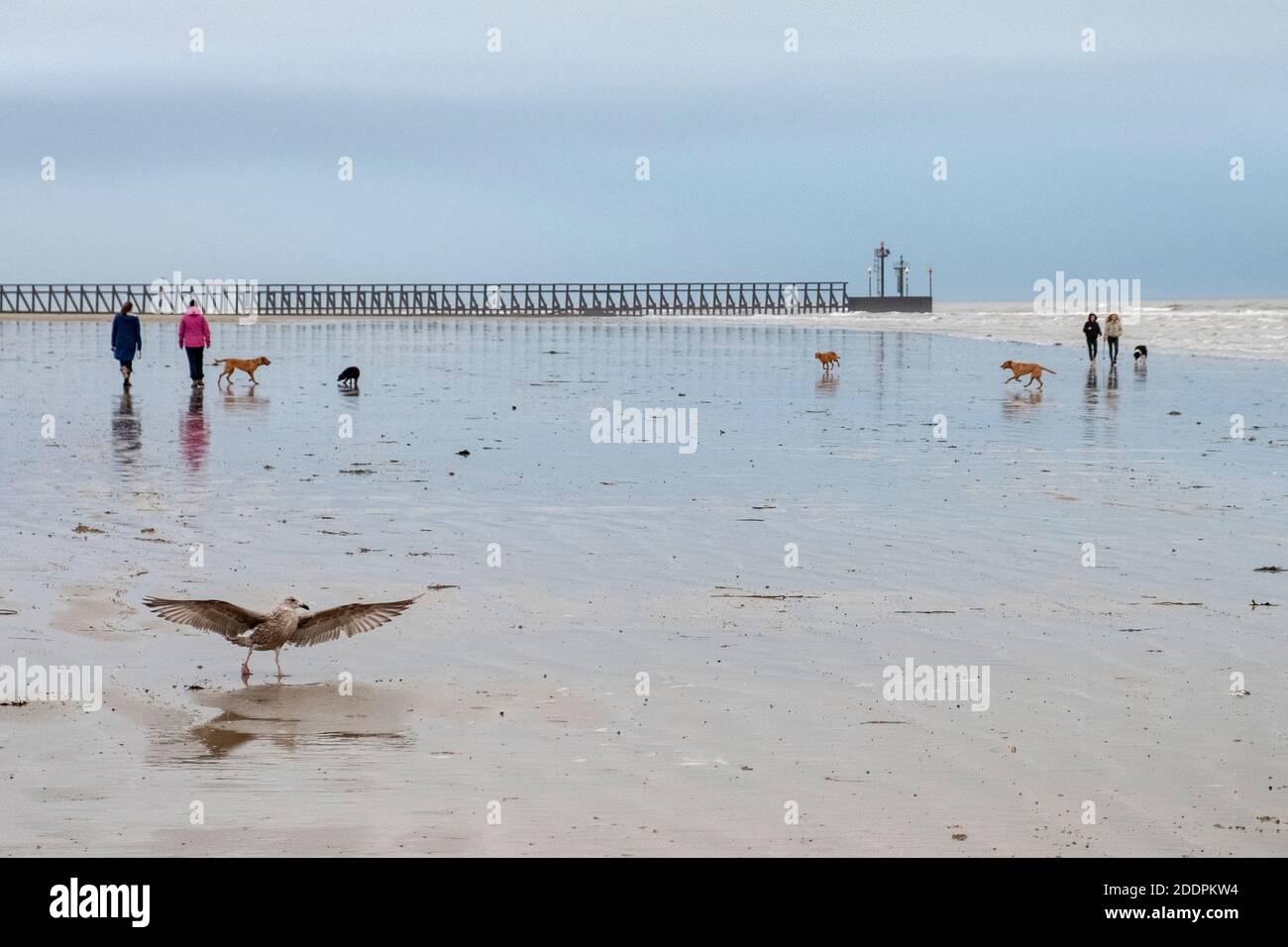 Climping beach sssi hi-res stock photography and images - Alamy