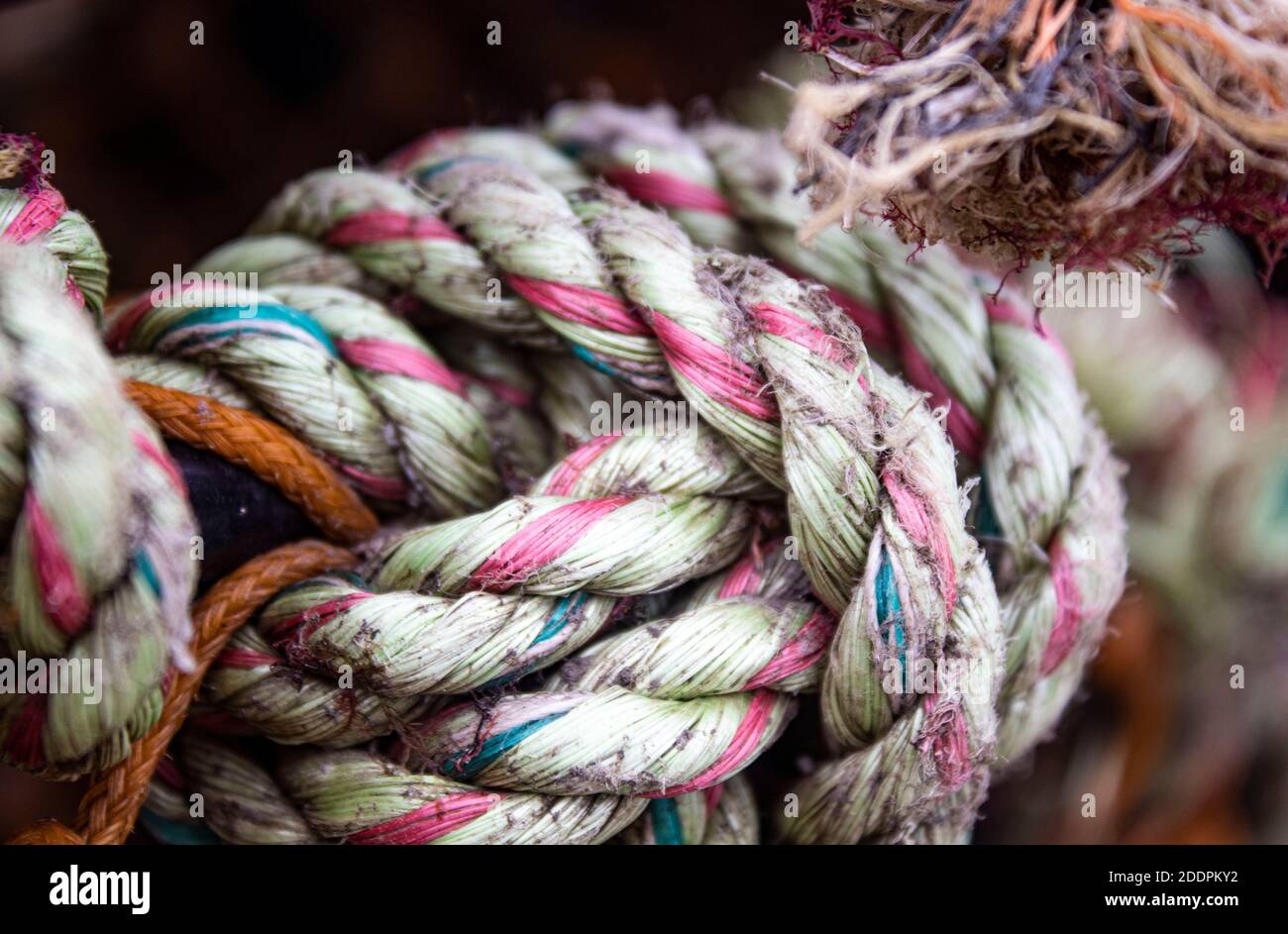 Creeel hi-res stock photography and images - Alamy