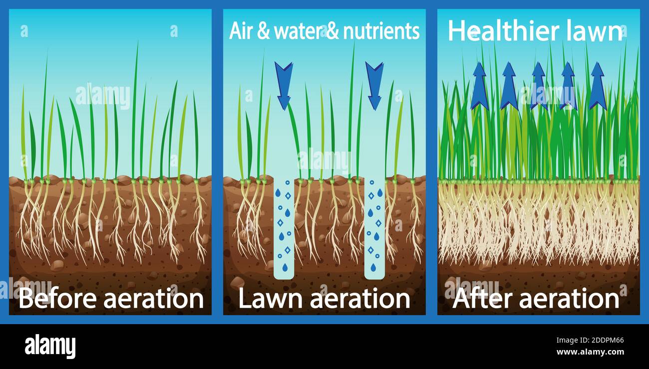 Landscaping garden before and after hi-res stock photography and images ...