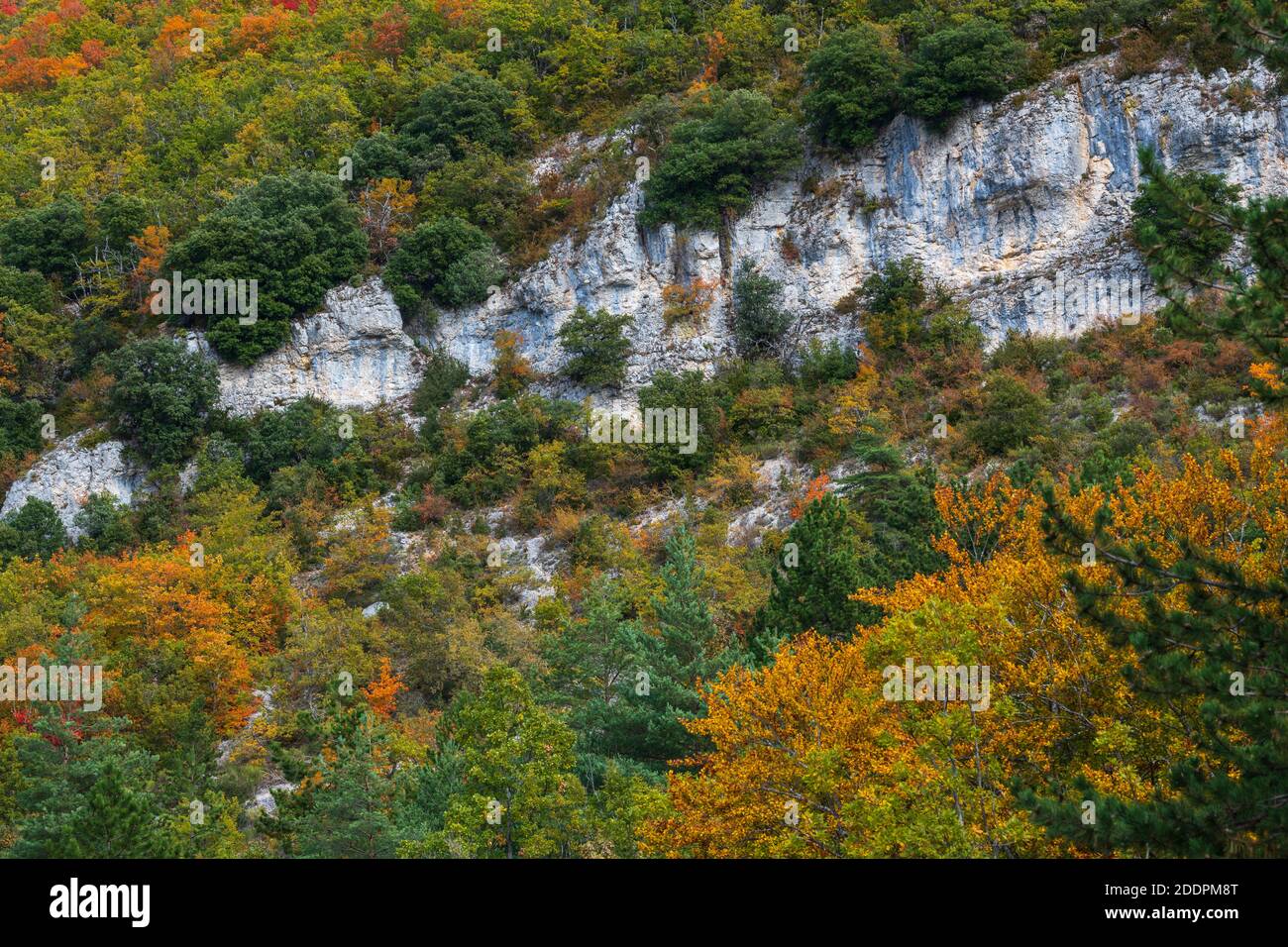 Autumnal colours in the Luberon, France Stock Photo - Alamy