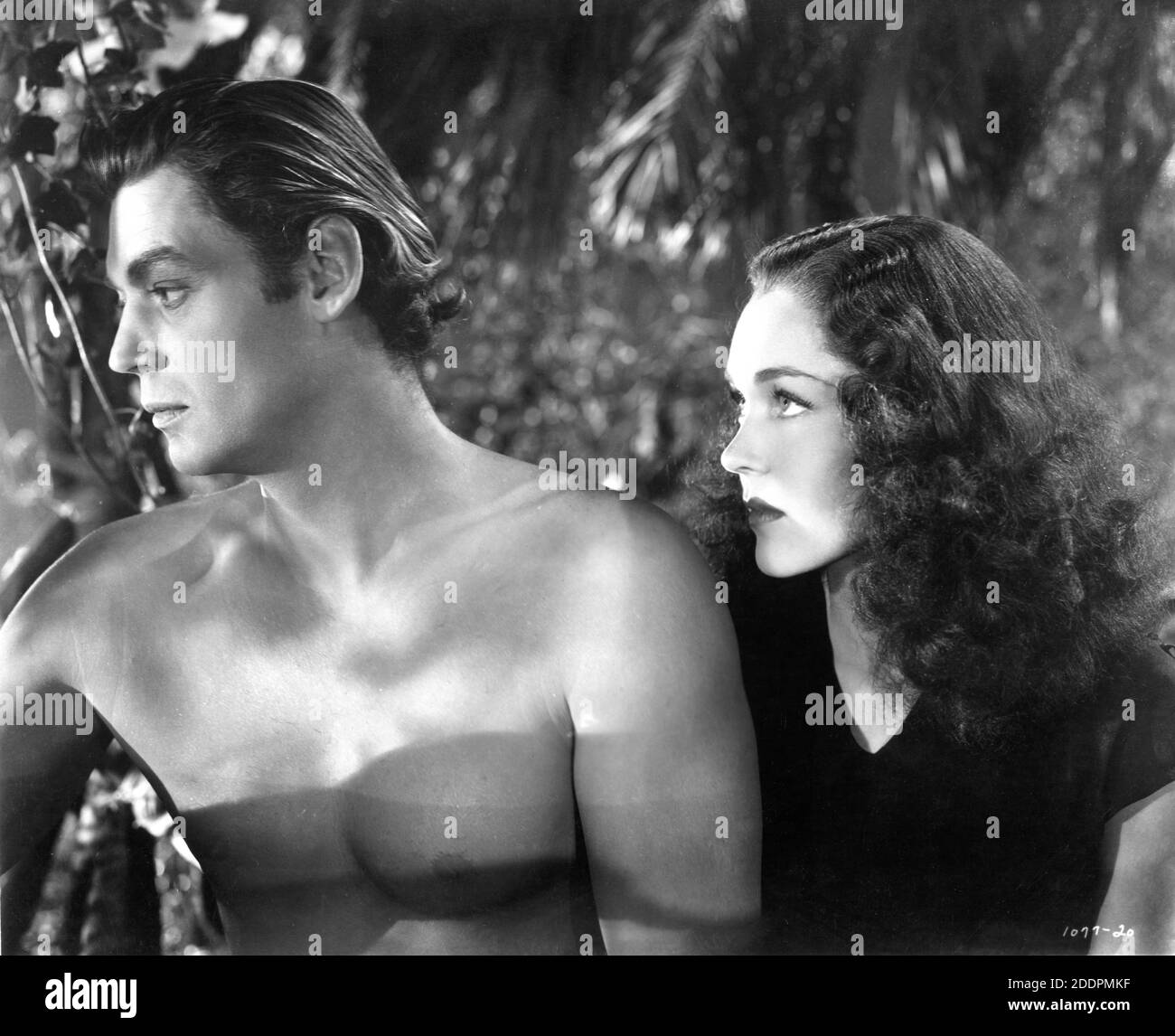 Weissmuller tarzan finds son 1939 Black and White Stock Photos & Images ...