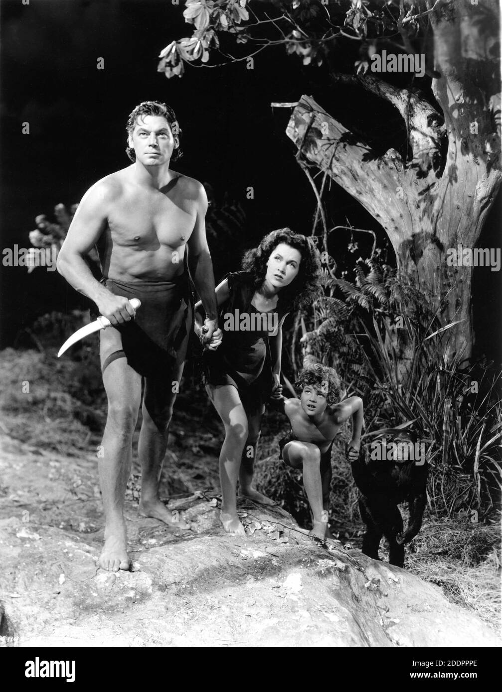 Tarzan's secret treasure hi-res stock photography and images - Alamy