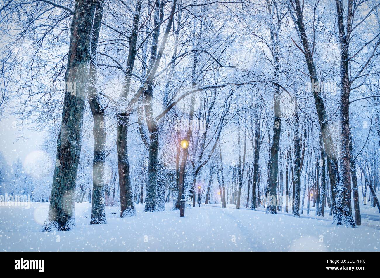 Winter landscape with falling snow, night winter city alley under ...