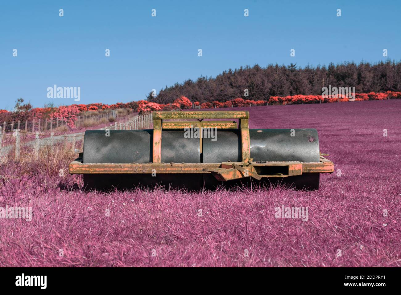 Infrared Pink Roller Stock Photo - Alamy