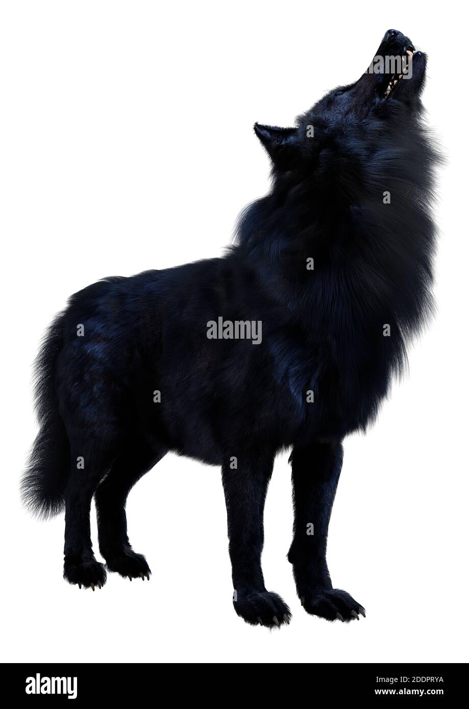 3D rendering of a black wolf isolated on white background Stock Photo ...