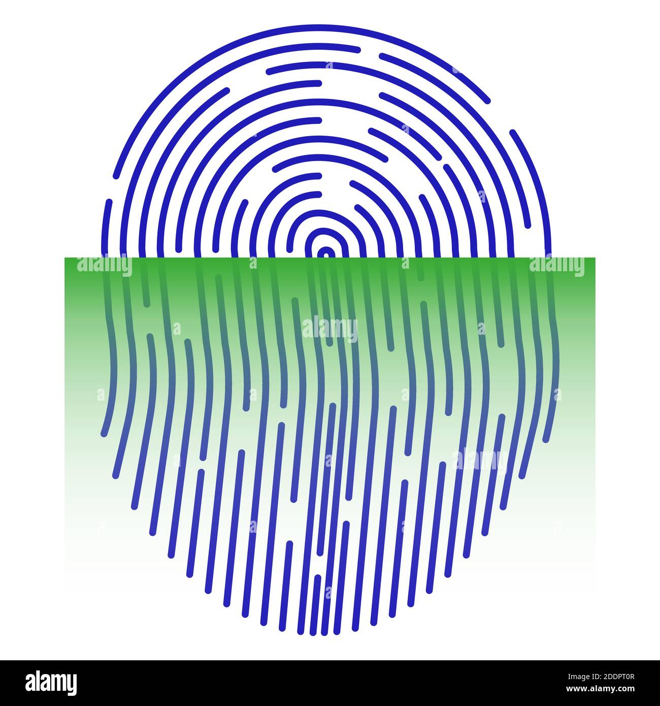 Security check Cut Out Stock Images & Pictures - Alamy
