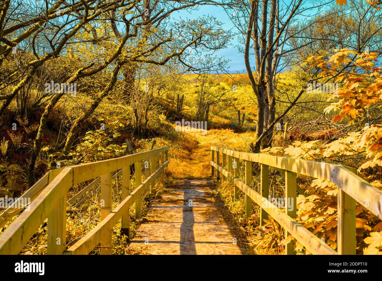 Infrared Yellow Bridge Stock Photo - Alamy