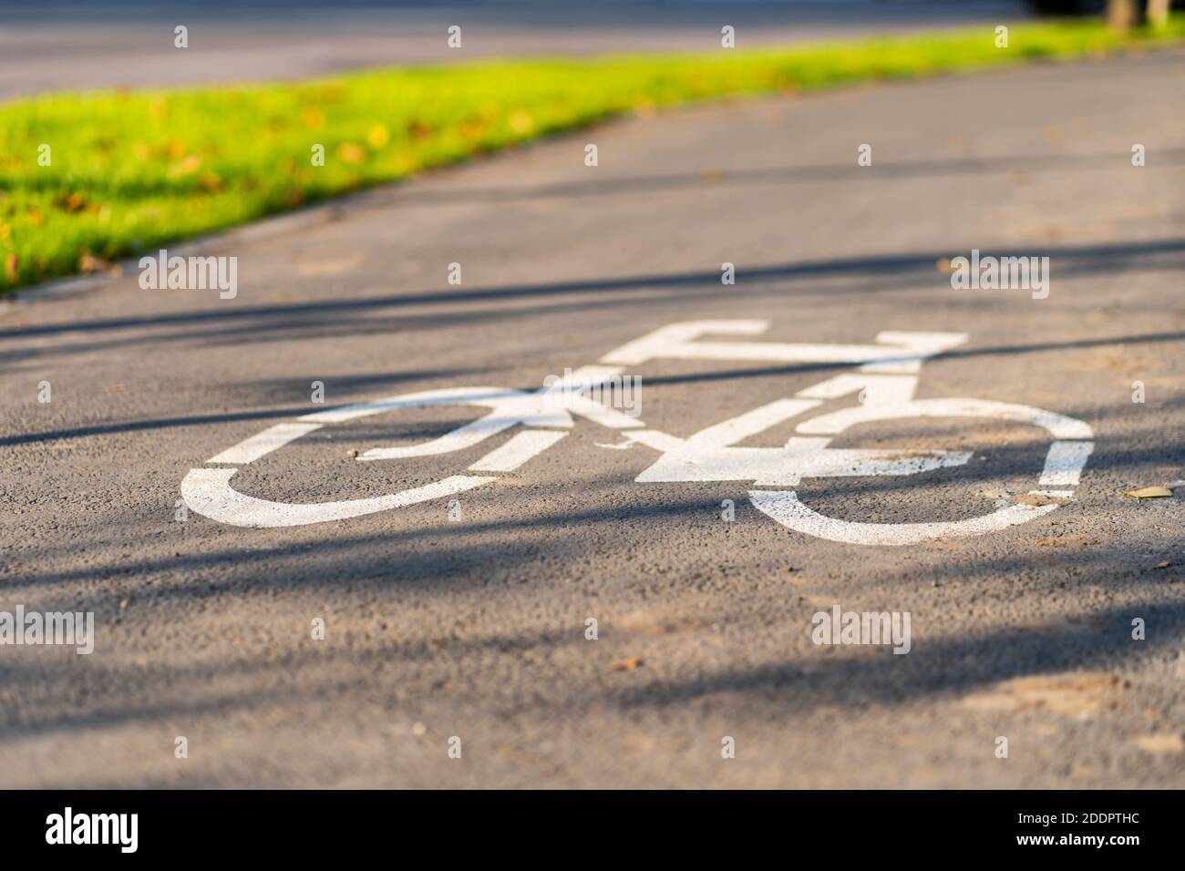 Cycle path in the city park. Bicycle sign on the road Stock Photo - Alamy