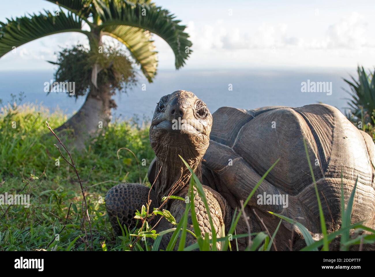 Wildlife foundation hi-res stock photography and images - Alamy