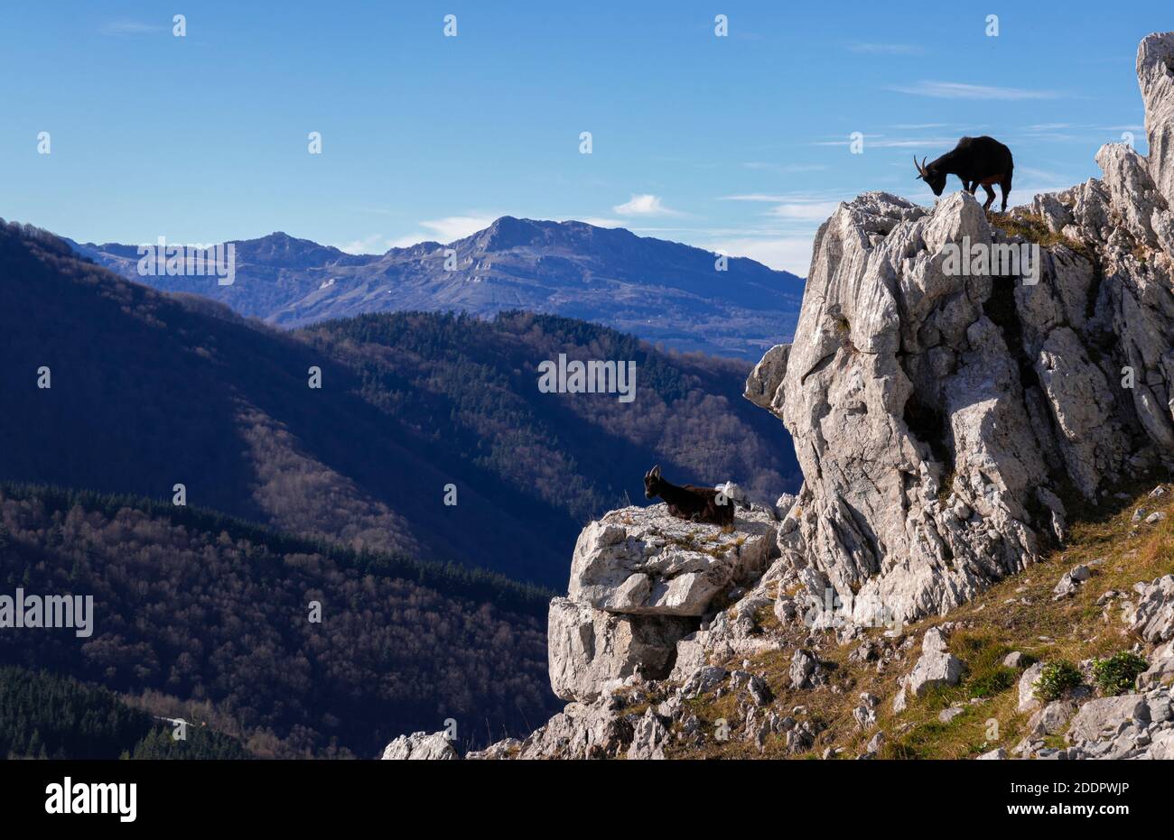 view of rocky mountains in the basque country Stock Photo - Alamy