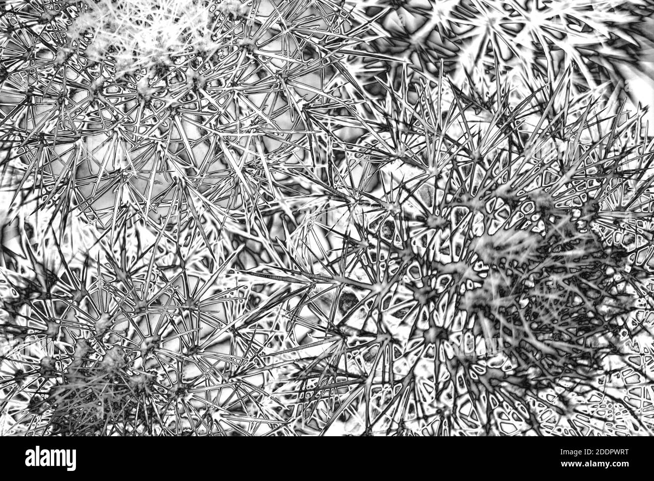 Spiky texture Black and White Stock Photos & Images - Alamy