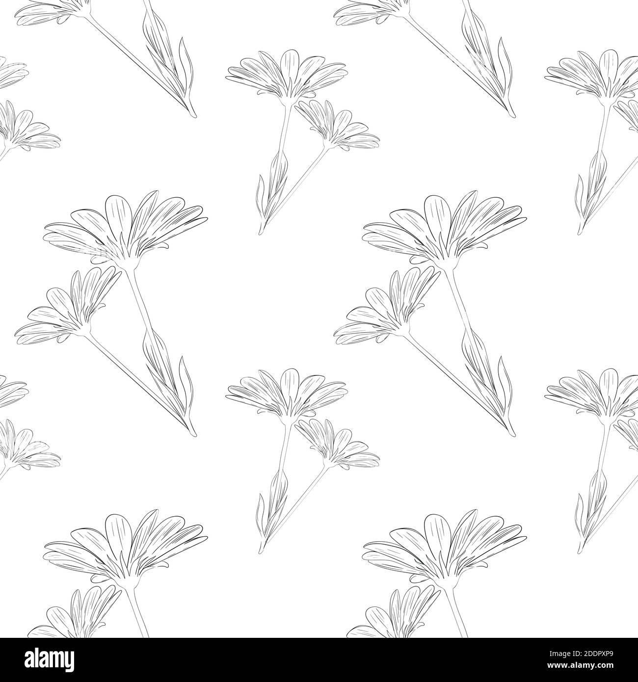 Vector linear floral print. Monochrome seamless pattern. Can be used ...