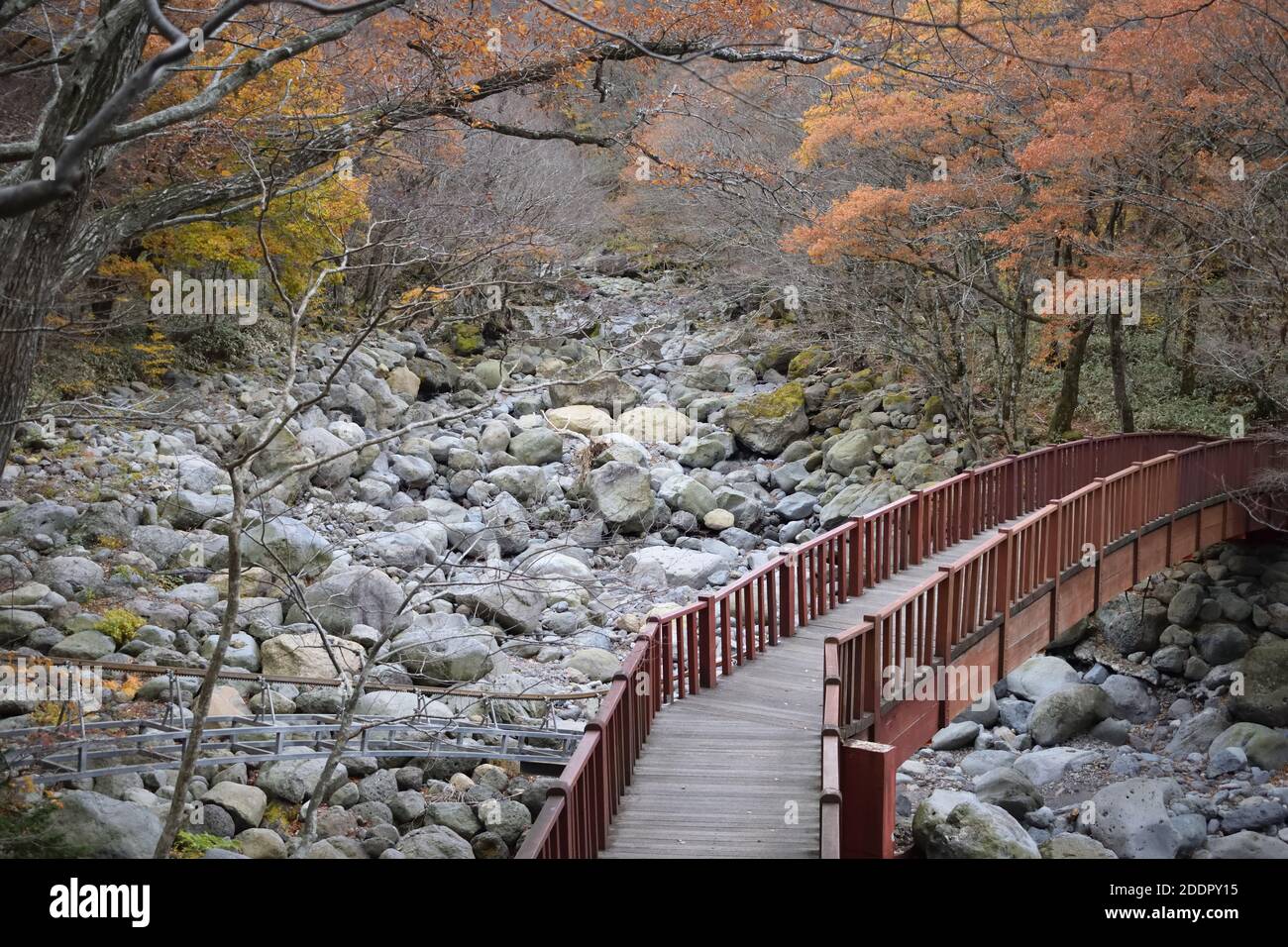 Bridge over dry riverbed near Eorimok Trail at Hallasan National Park ...