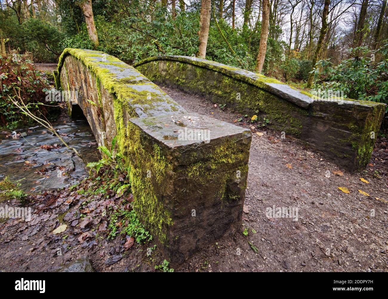 A mossy footbridge, spanning a flowing stream in woodland Stock Photo ...