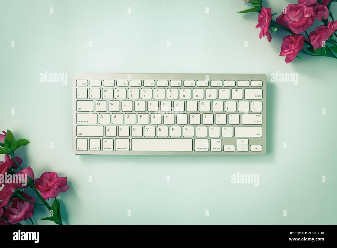 White Portable Computer Keyboard Keys or Keyboard Button and Rose ...