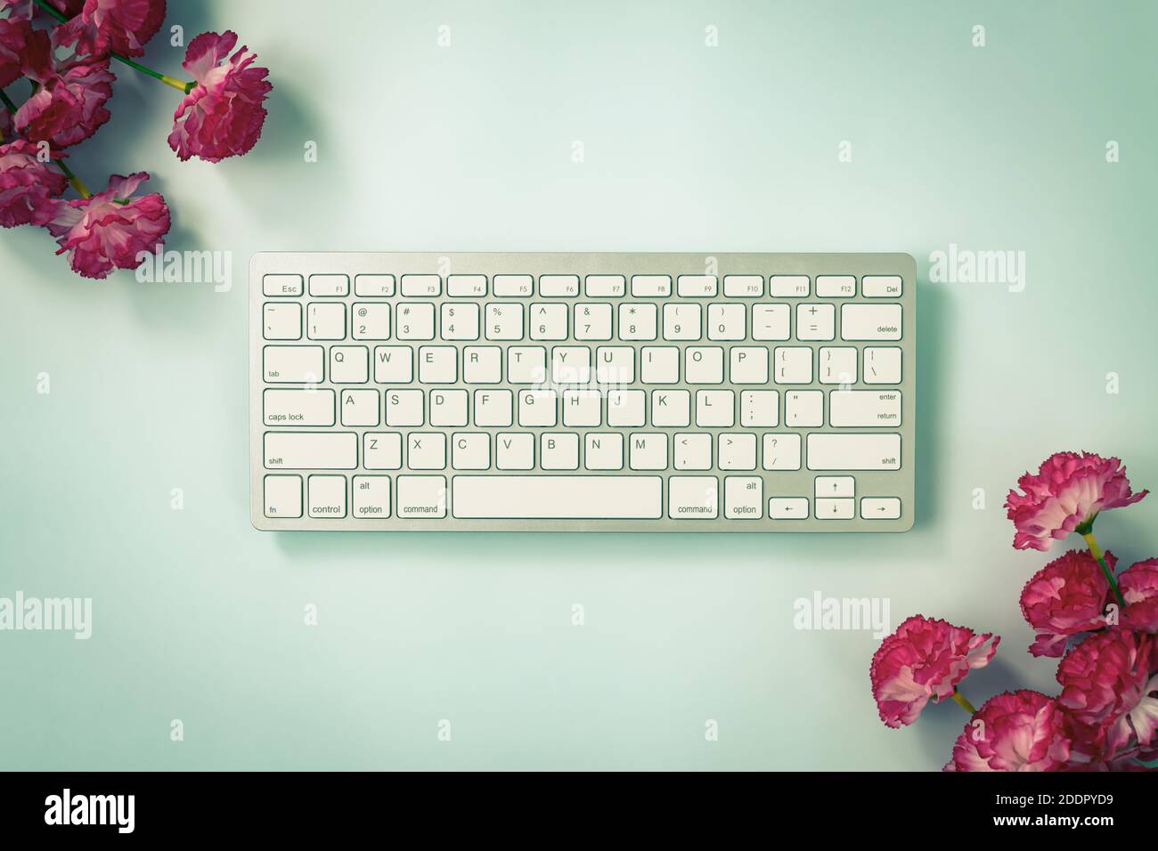 White Portable Computer Keyboard Keys or Keyboard Button and Red Flower ...