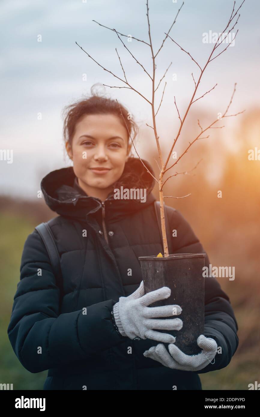 woman planting new trees with gardening tools in green park Stock Photo ...