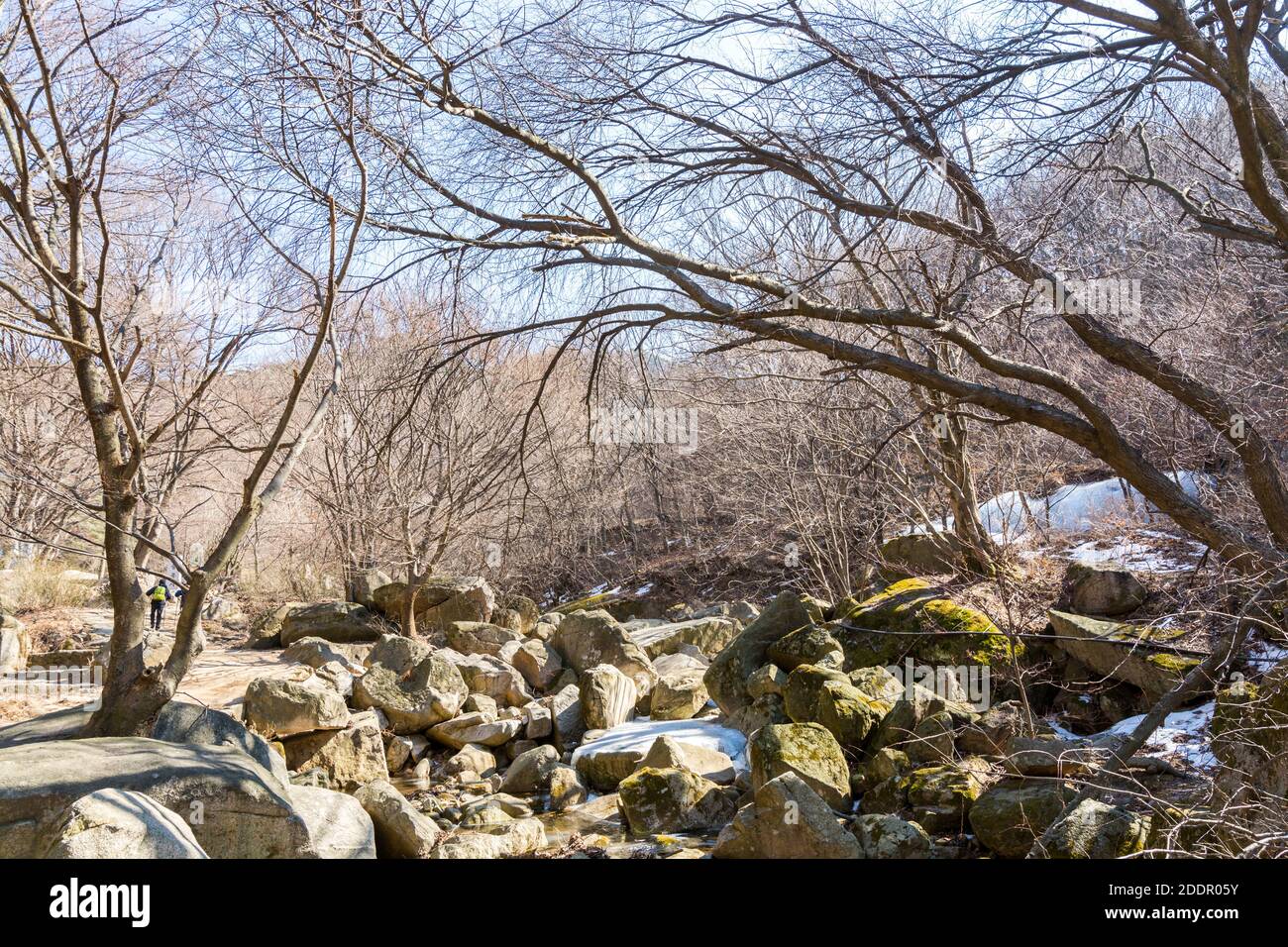 Valley with rocks, withered tree in the Bukhansan Mountain national ...