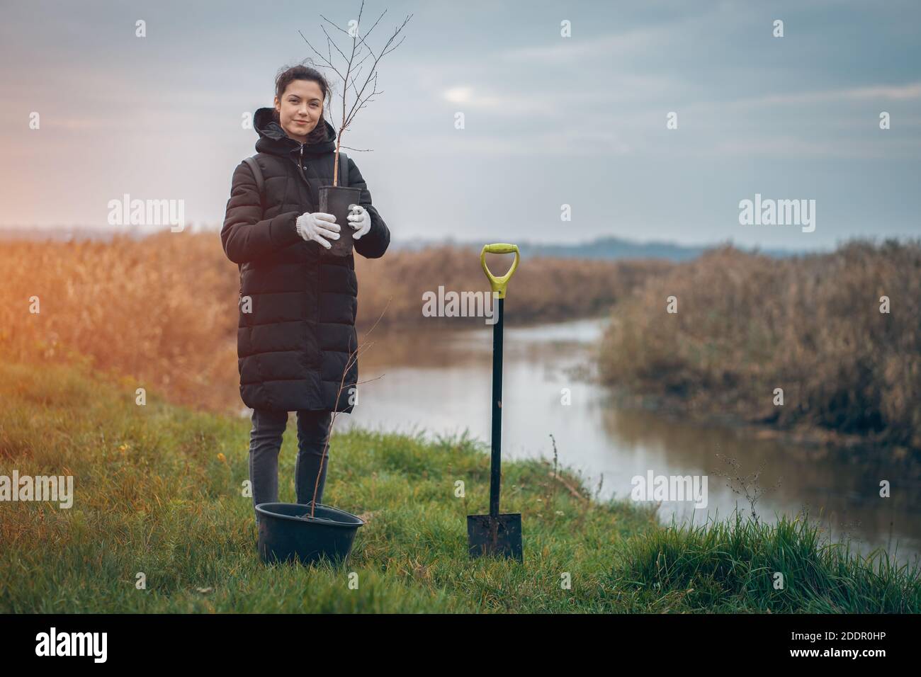 woman planting new trees with gardening tools in park near river Stock ...