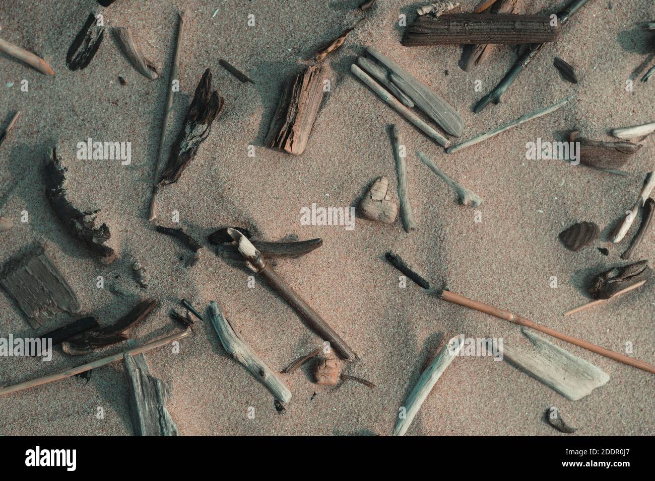 Tree branches in the sand turned by the sea Stock Photo - Alamy