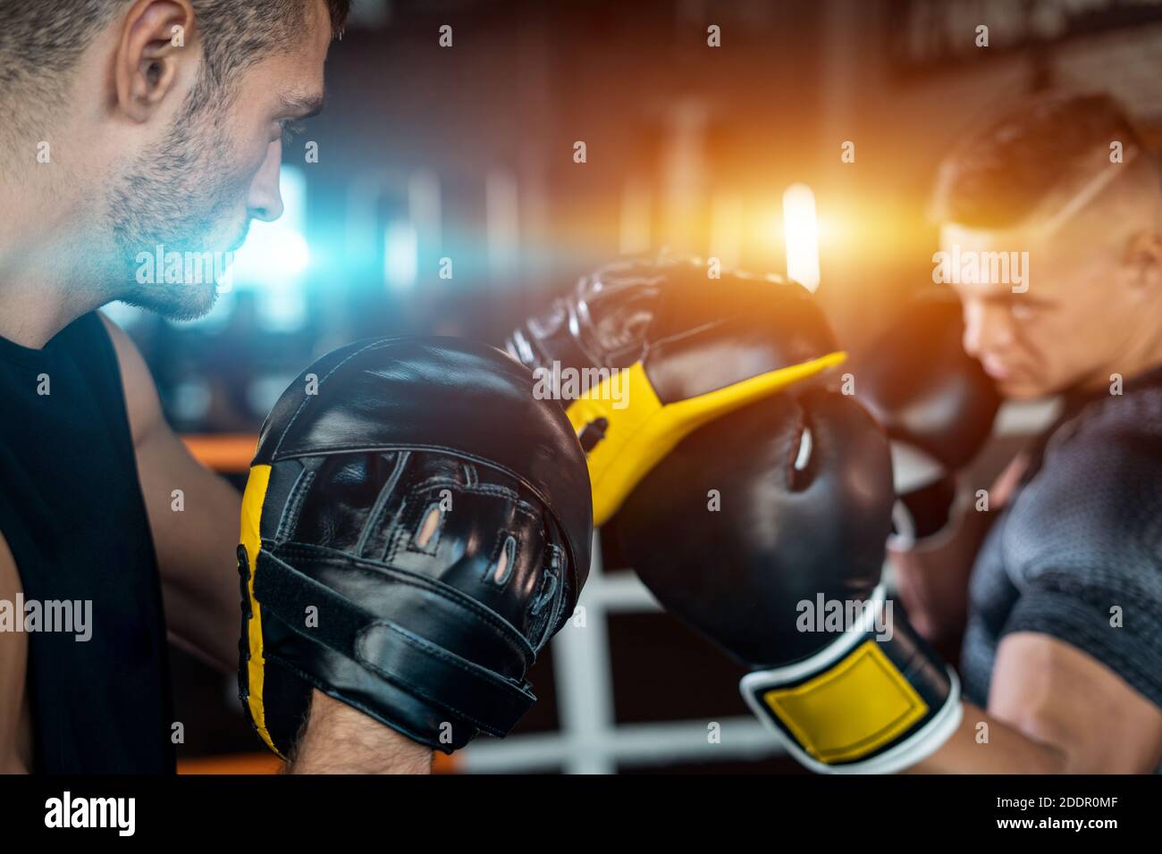 two muscle boxers sport man training and fighting on boxing ring at gym ...
