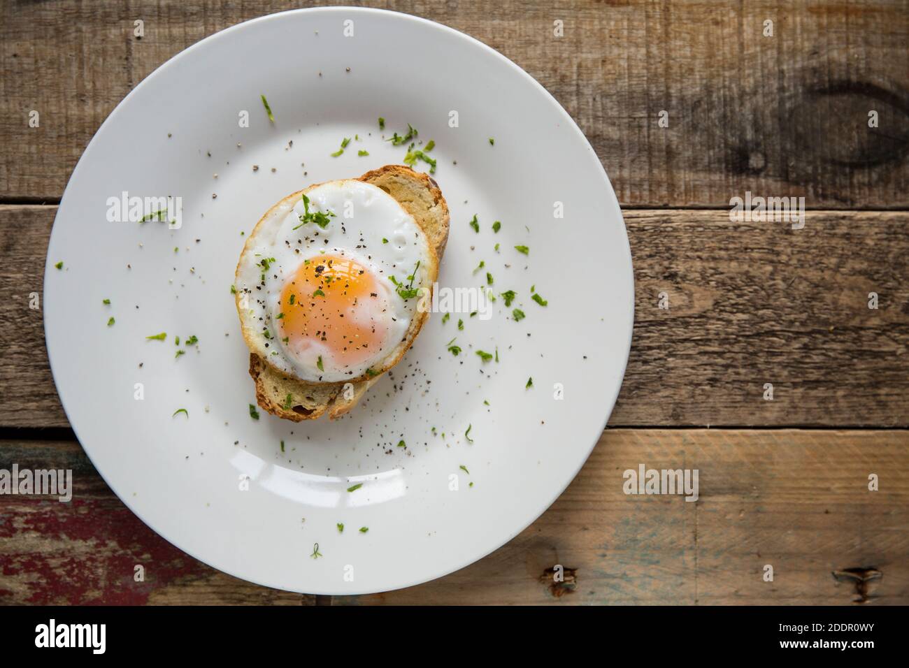 A free range duck egg bought from a farm honesty box that has been ...