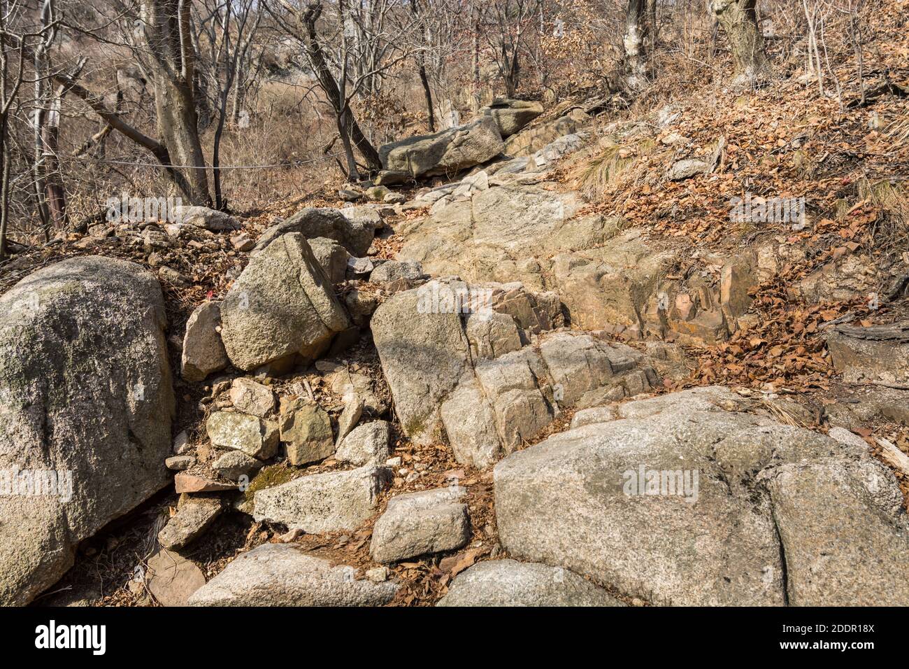 Valley with rocks, withered tree in the Bukhansan Mountain national ...