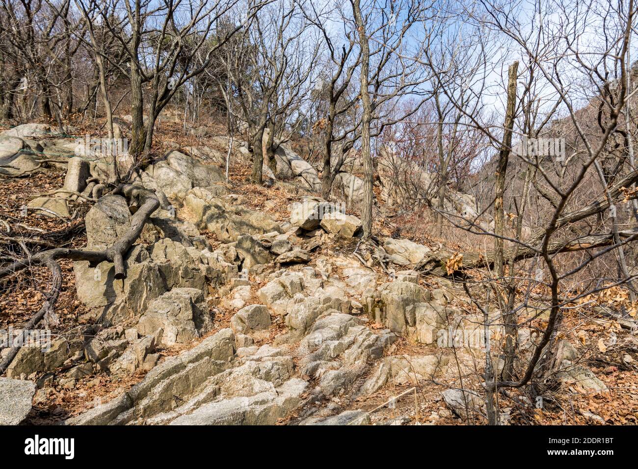 Valley with rocks, withered tree in the Bukhansan Mountain national ...