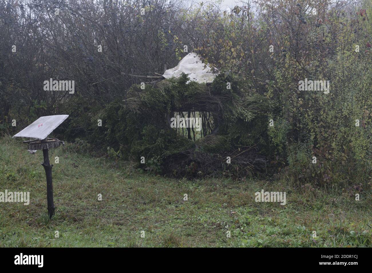 Camouflaged bird observatory from leaves and branches at the edge of ...