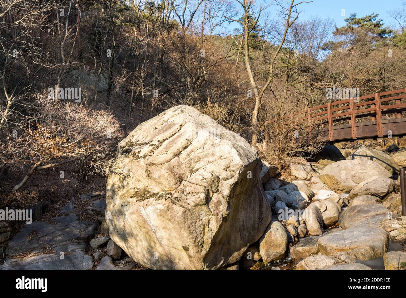 Valley with rocks, withered tree in the Bukhansan Mountain national ...
