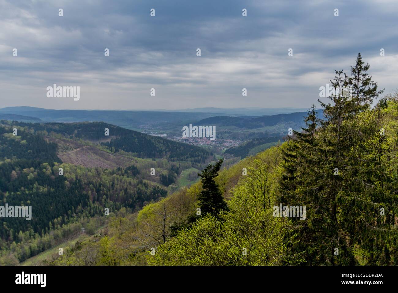 Hiking in different places through the Thuringian Forest - Thüringer ...