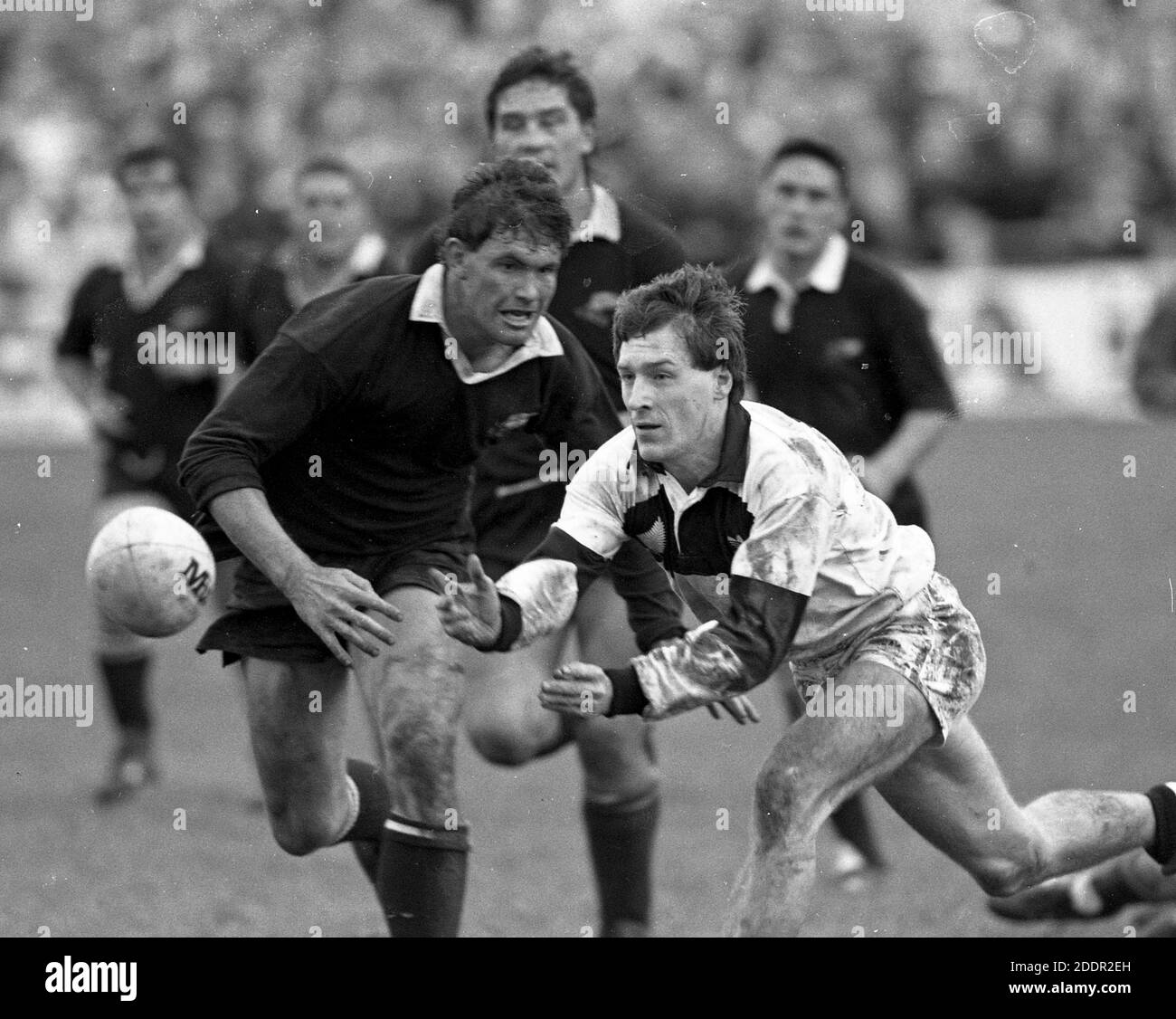 Tony williams Black and White Stock Photos & Images - Alamy