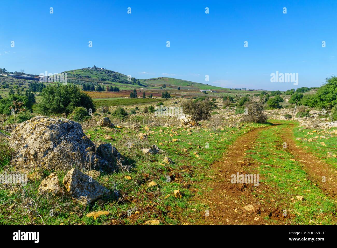 View of Upper Galilee landscape, with hills and vineyards. Northern ...