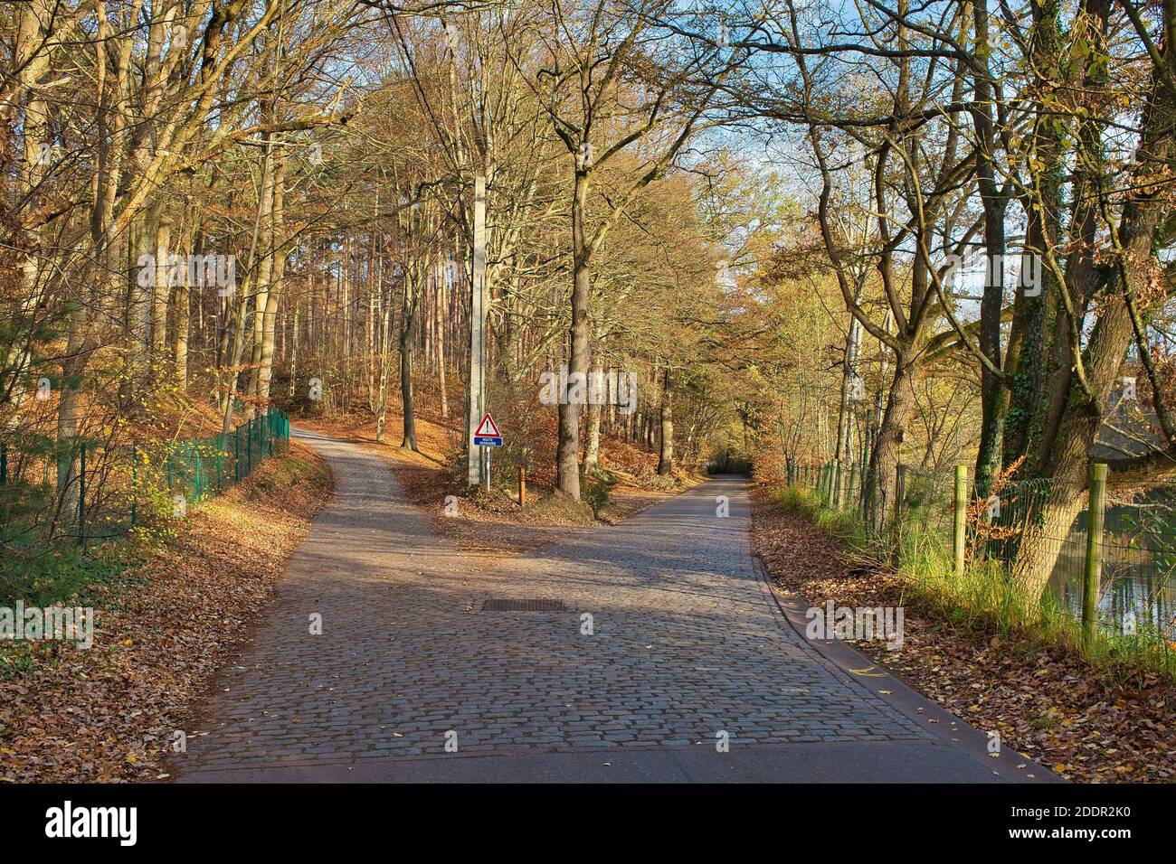 A path in the early autumn field with falling leafs Stock Photo - Alamy