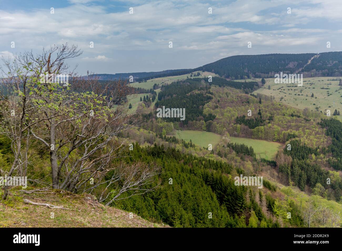 Hiking in different places through the Thuringian Forest - Thüringer ...